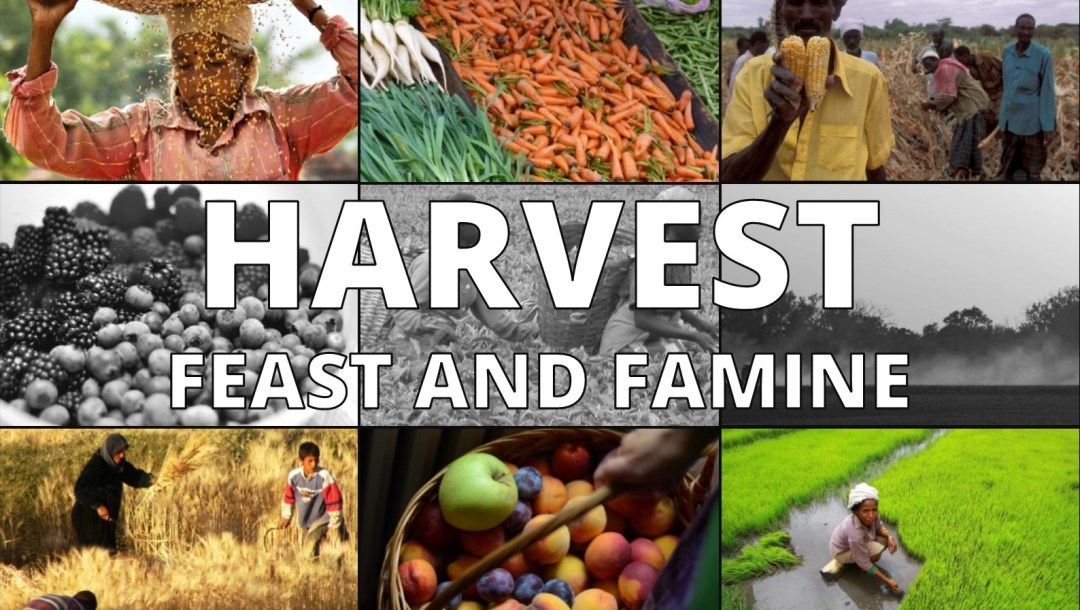 Harvest – Feast and Famine – Mark 14:1-9: Dave Sewell | Fulwood Free ...