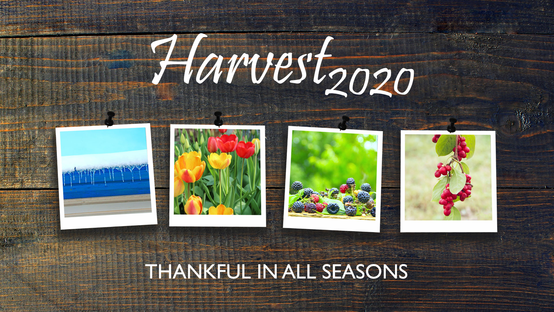 Harvest 2020 – Thankful In All Seasons | Sunday 18th October 2020 ...